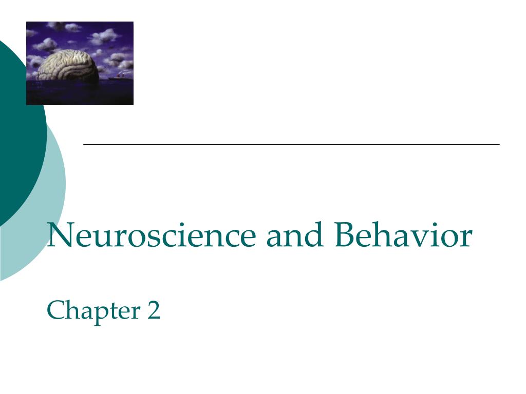 PPT - Neuroscience and Behavior Chapter 2 PowerPoint Presentation, free ...