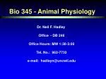 PPT - Animal Physiology PowerPoint Presentation, free download - ID:2182113