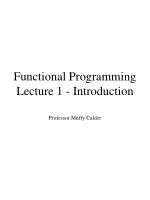 PPT - INTRODUCTION TO FUNCTIONAL PROGRAMMING PowerPoint Presentation, free download - ID:6183153