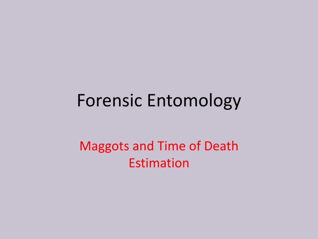 PPT - Forensic Entomology PowerPoint Presentation, free download - ID ...