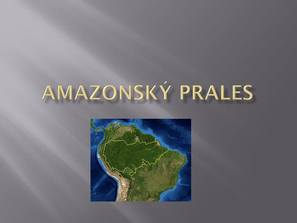 PPT - AMAZONSKÝ PRALES PowerPoint Presentation, free download - ID:6186862