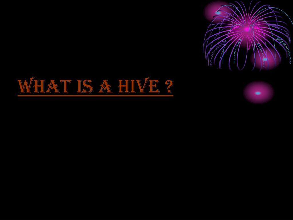 PPT - What is a hive ? PowerPoint Presentation, free download - ID:6190776