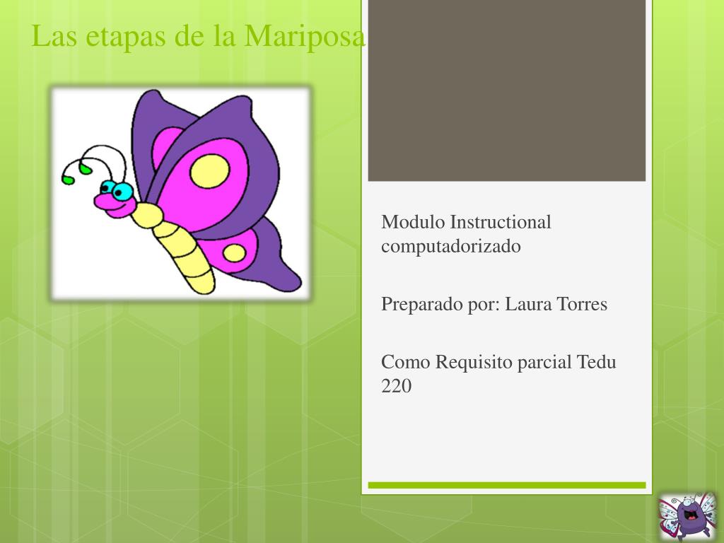 PPT - Las etapas de la Mariposa PowerPoint Presentation, free download ...