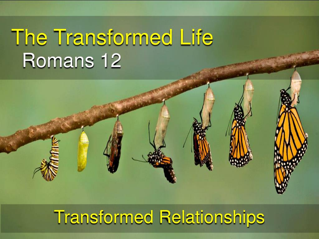 PPT - The Transformed Life PowerPoint Presentation, free download - ID ...