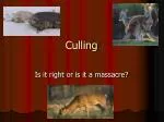 PPT - From-Point Occlusion Culling PowerPoint Presentation, free ...