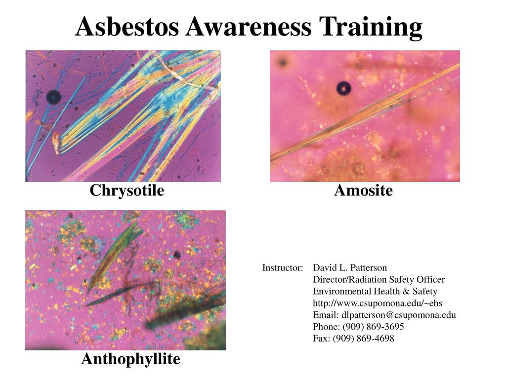 PPT - Asbestos Awareness Training PowerPoint Presentation, free ...