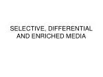 PPT - Selected and Differential Media PowerPoint Presentation, free ...