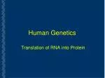 PPT - Human Genetics PowerPoint Presentation, free download - ID:6322759