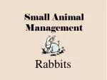 PPT - Small Hatchery Management PowerPoint Presentation, free download ...