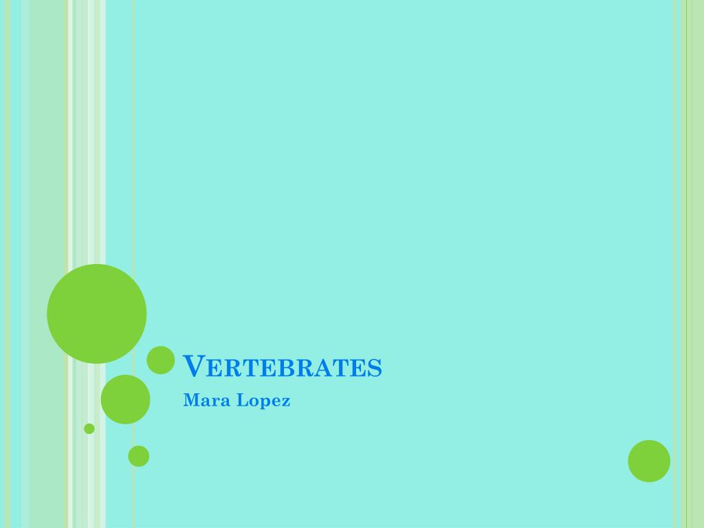 PPT - Vertebrates PowerPoint Presentation, free download - ID:6199749
