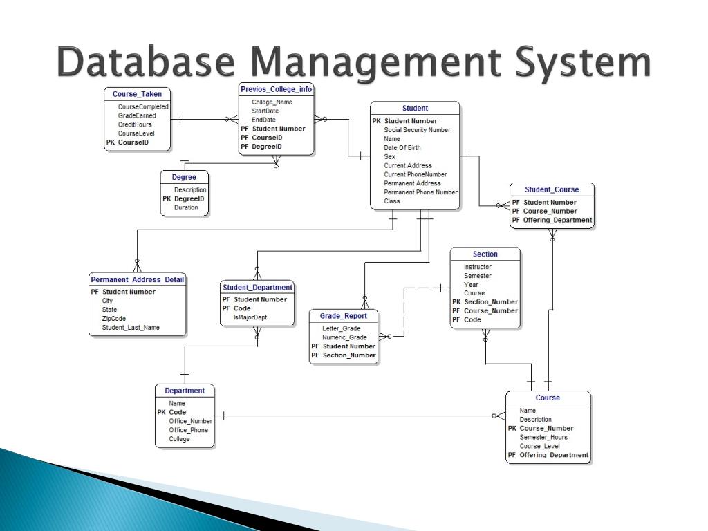 PPT - Database Management System PowerPoint Presentation, free download ...