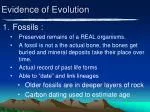 PPT - Evidence of Evolution PowerPoint Presentation, free download - ID ...