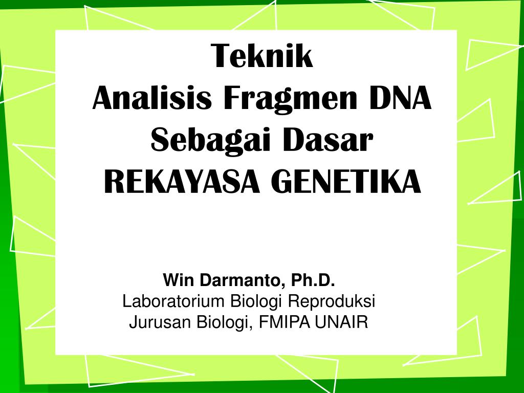 PPT - Teknik Analisis Fragmen DNA Sebagai Dasar REKAYASA GENETIKA ...