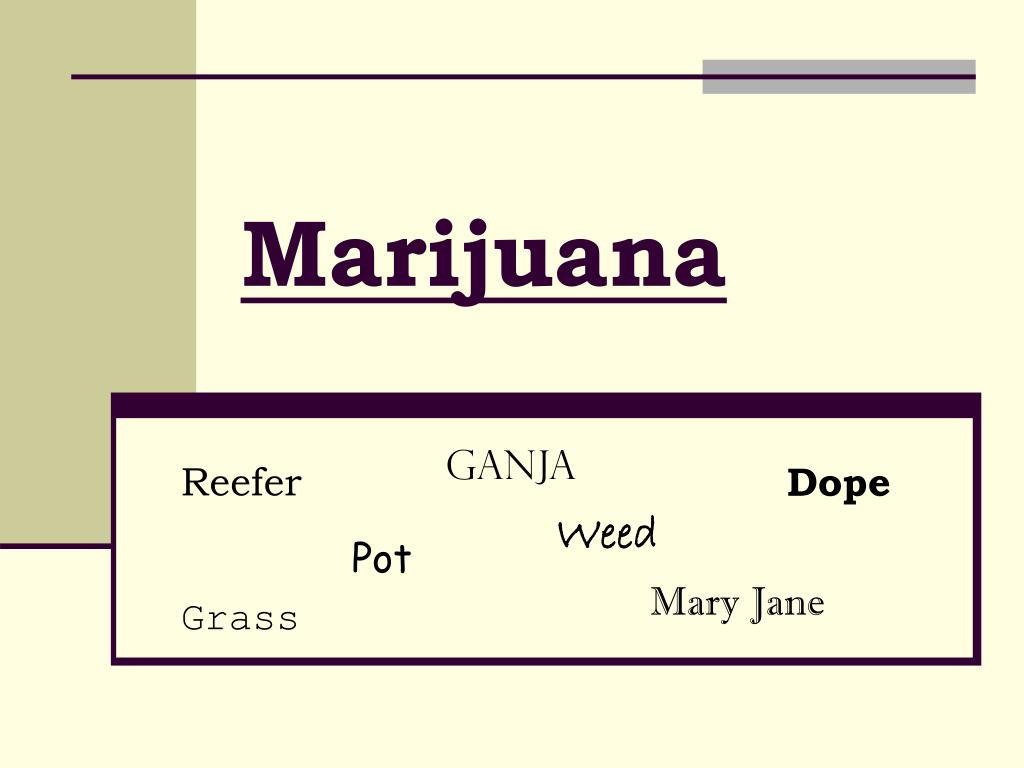 PPT - Marijuana PowerPoint Presentation, free download - ID:6205104