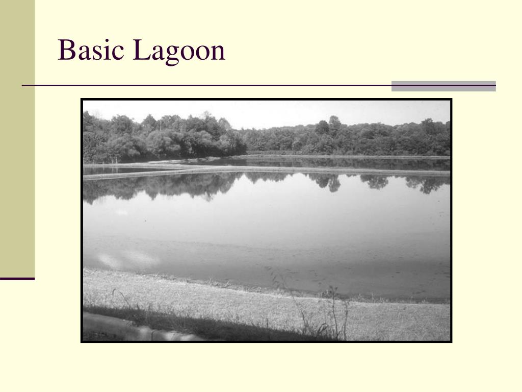 PPT - Basic Lagoon PowerPoint Presentation, free download - ID:6205901