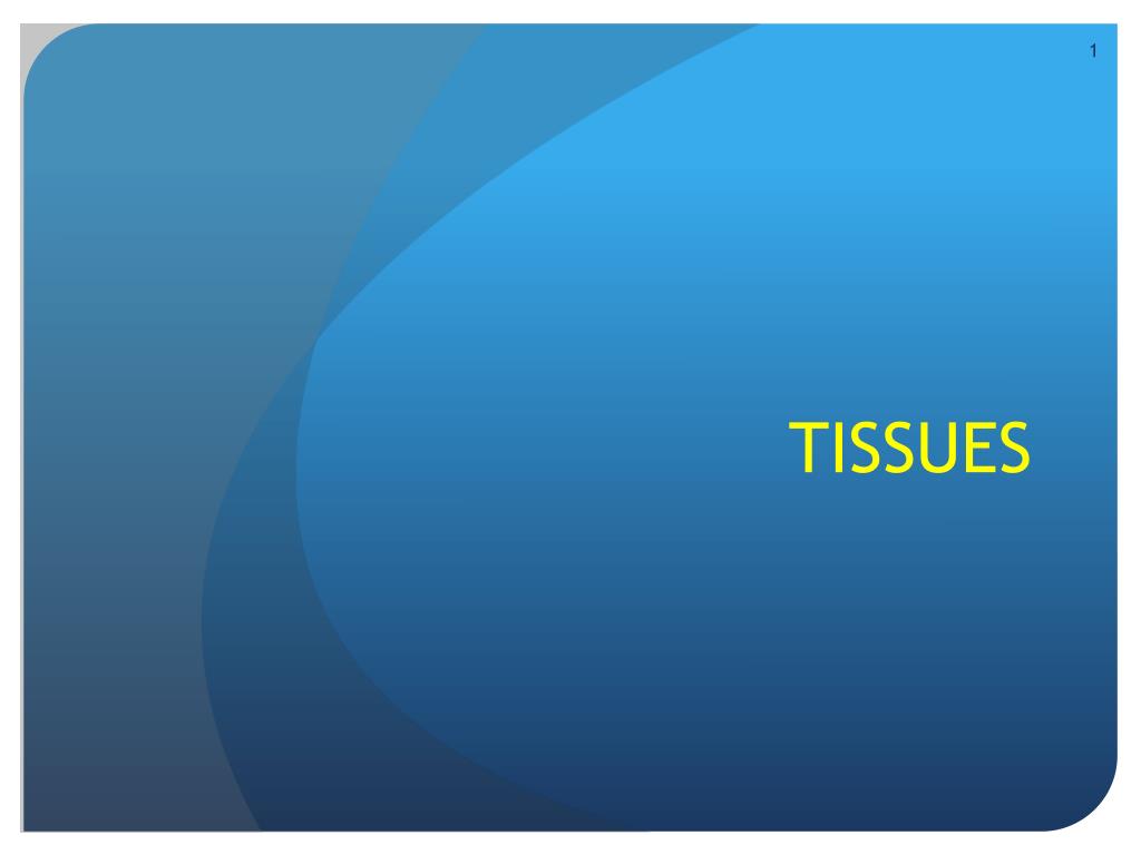 PPT - TISSUES PowerPoint Presentation, free download - ID:6210096