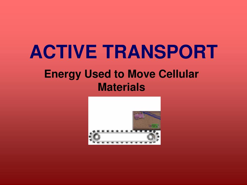 PPT - ACTIVE TRANSPORT PowerPoint Presentation, free download - ID:6210505