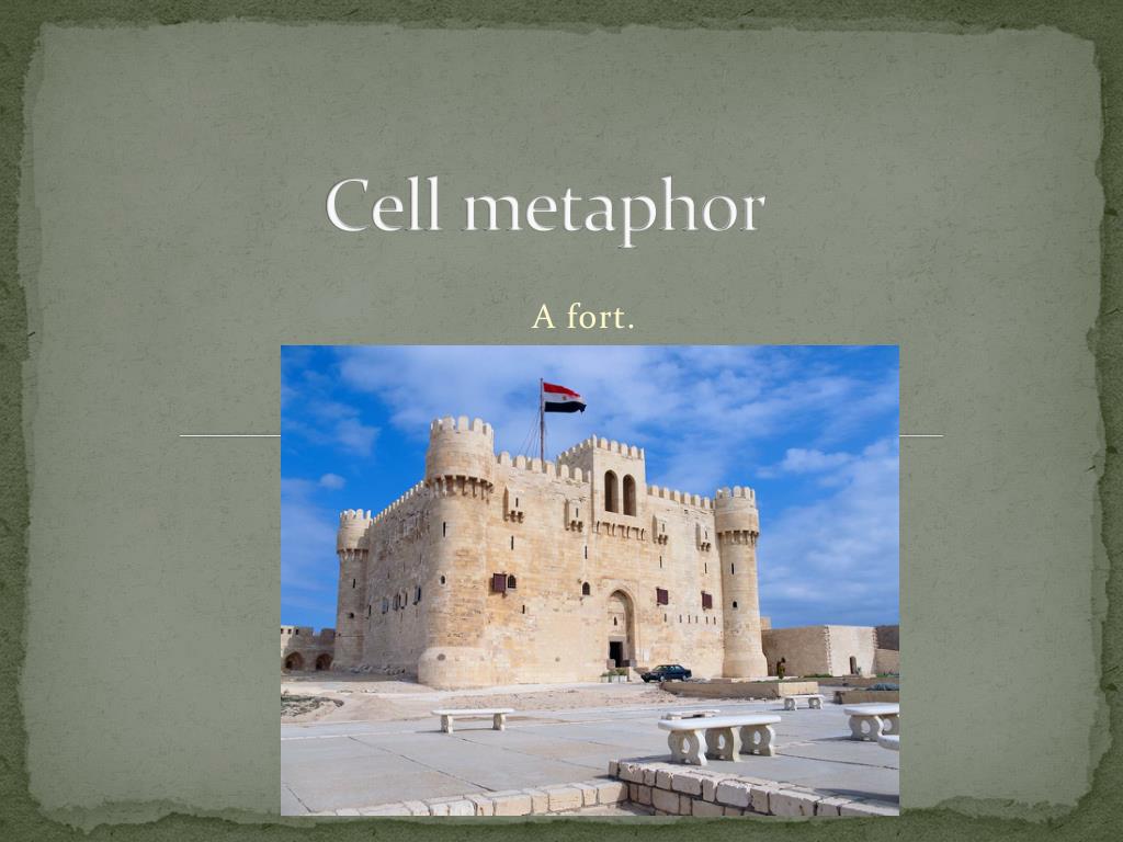 PPT - Cell metaphor PowerPoint Presentation, free download - ID:6214737