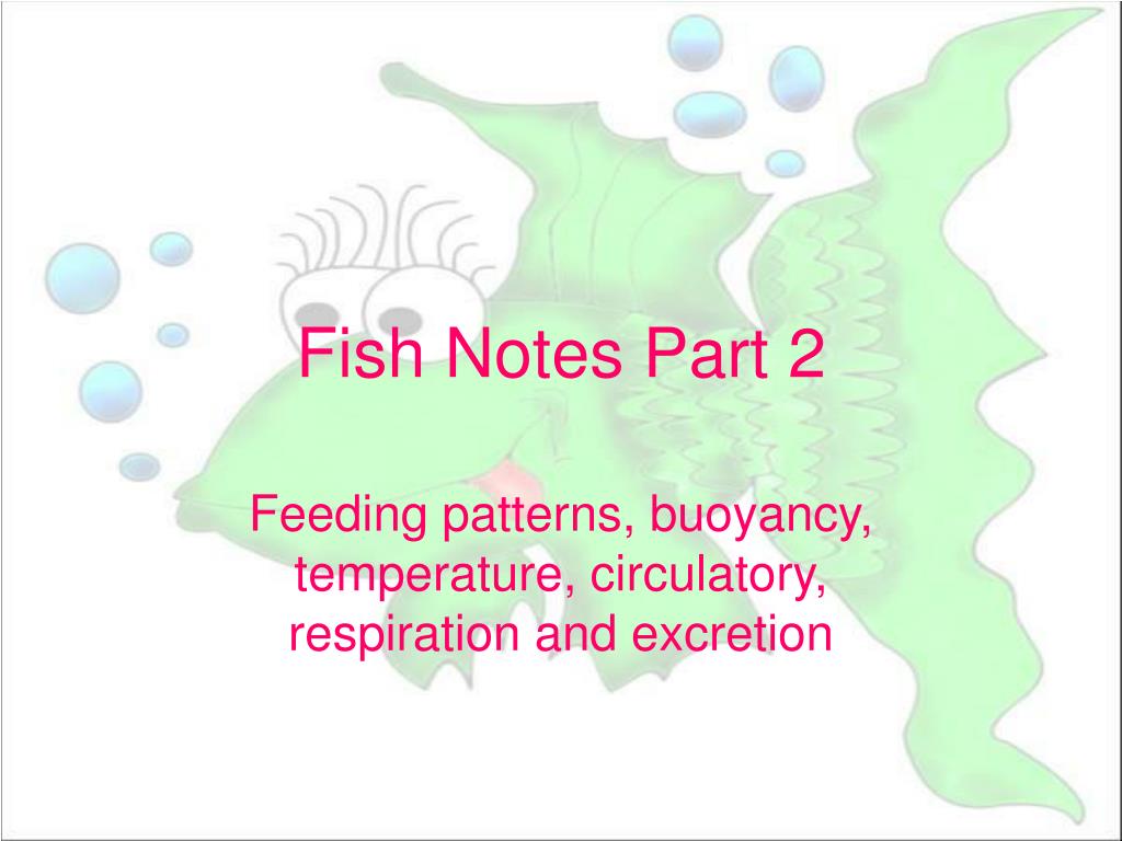 PPT - Fish Notes Part 2 PowerPoint Presentation, free download - ID:6217118