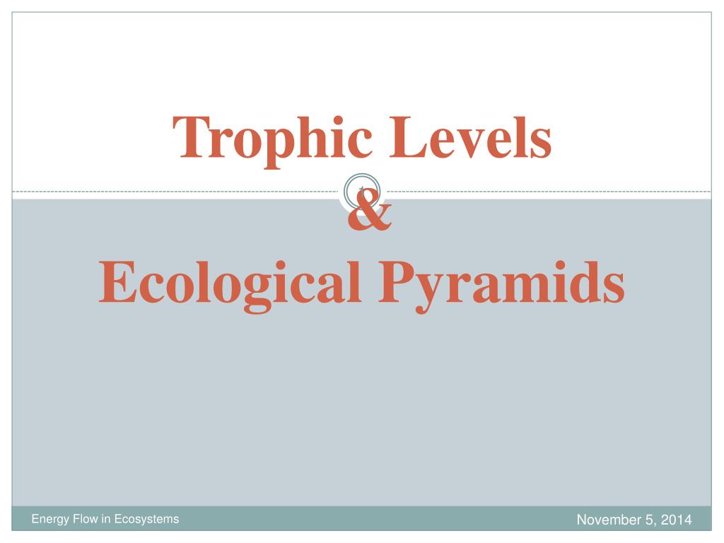 PPT - Trophic Levels & Ecological Pyramids PowerPoint Presentation - ID ...