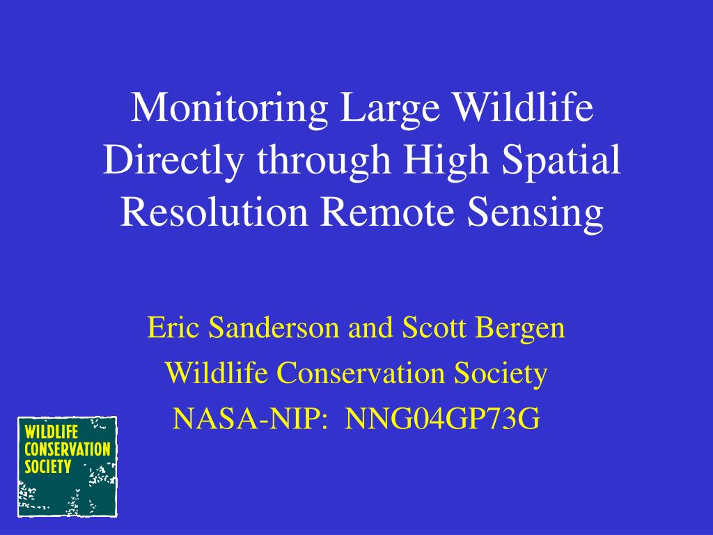 PPT - ### Advancing Wildlife Monitoring Using High-Resolution Remote ...