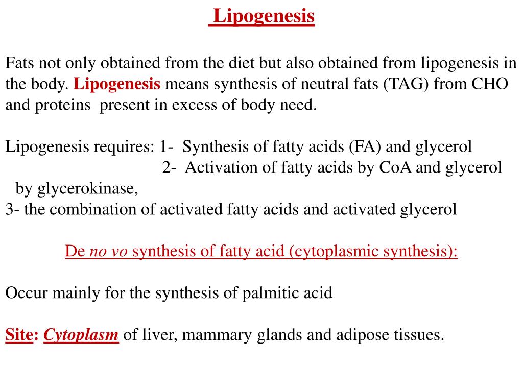 PPT - Lipogenesis PowerPoint Presentation, free download - ID:6222875