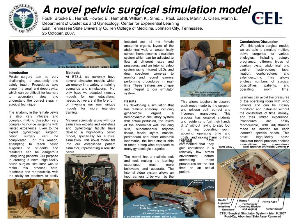 PPT - High-Fidelity Pelvic Surgical Simulation Model for Gynecologic ...