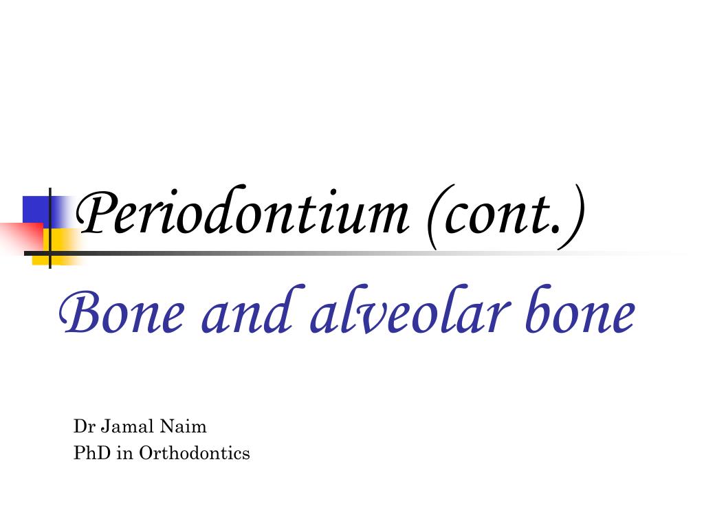 PPT - Bone and alveolar bone PowerPoint Presentation, free download ...