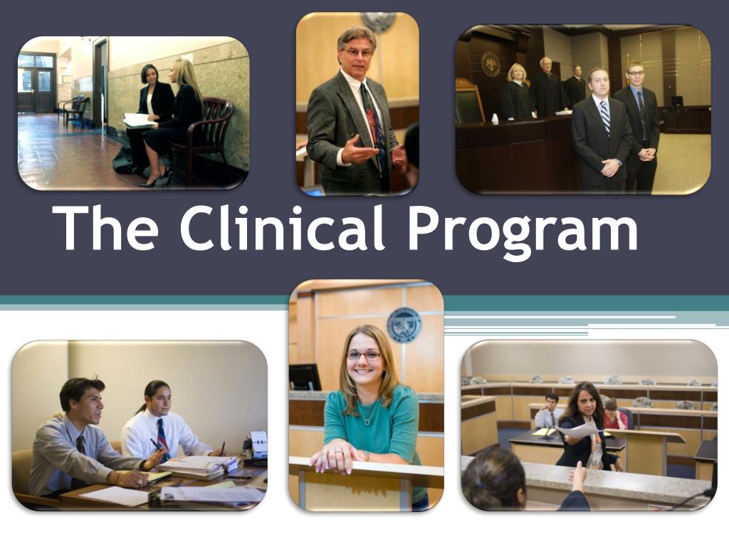 PPT - The Clinical P rogram PowerPoint Presentation, free download - ID ...