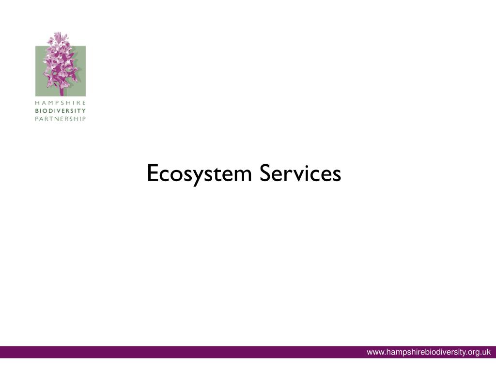 PPT - Ecosystem Services PowerPoint Presentation, free download - ID ...