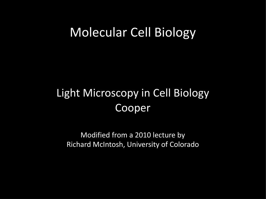 PPT - Molecular Cell Biology PowerPoint Presentation, free download ...