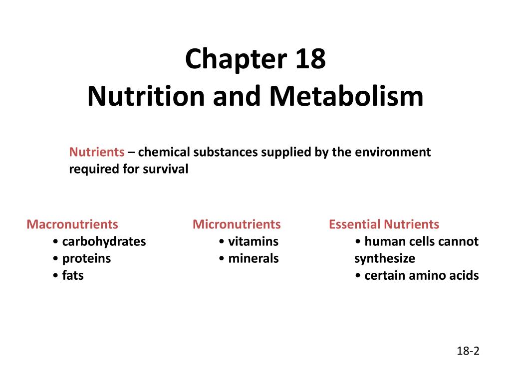 PPT - Chapter 18 Nutrition and Metabolism PowerPoint Presentation, free ...