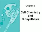 PPT - Cell Chemistry PowerPoint Presentation, free download - ID:6846088