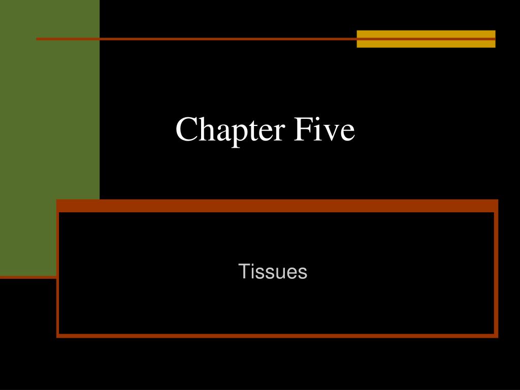 PPT - Chapter Five PowerPoint Presentation, free download - ID:6236253