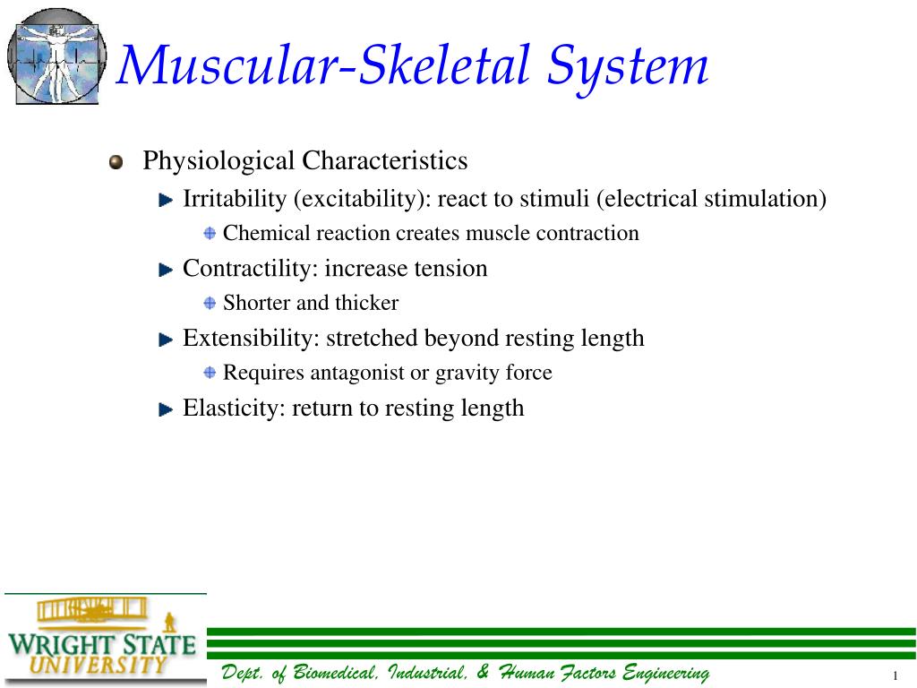 PPT - Understanding Muscular-Skeletal System Physiology PowerPoint ...