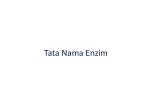 PPT - TATA NAMA SENYAWA SEDERHANA PowerPoint Presentation, free ...