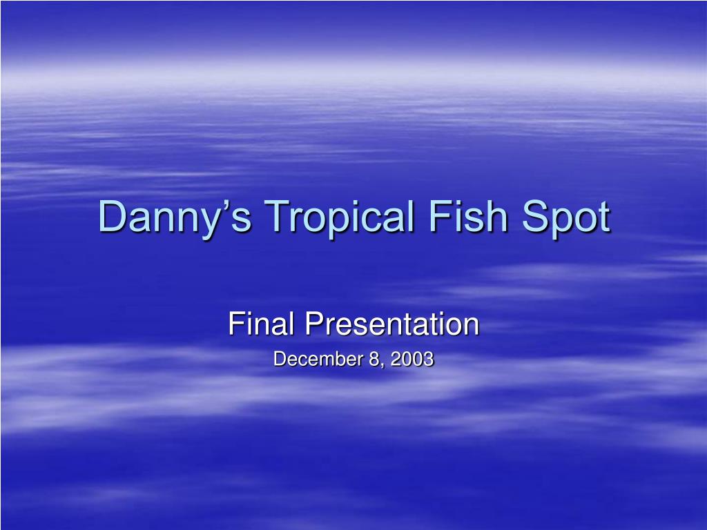 PPT - Danny’s Tropical Fish Spot PowerPoint Presentation, free download ...