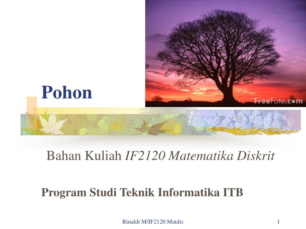PPT - Pohon PowerPoint Presentation, free download - ID:6240397