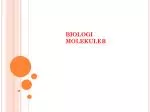 PPT - BIOLOGI MOLEKULER PowerPoint Presentation, free download - ID:5367462