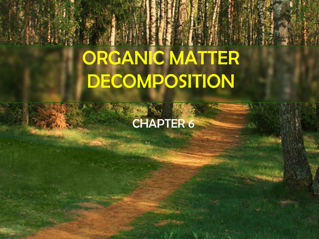 PPT - ORGANIC MATTER DECOMPOSITION PowerPoint Presentation, free ...