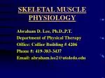 PPT - Skeletal Muscle Physiology PowerPoint Presentation, free download ...