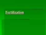 PPT - Fertilization PowerPoint Presentation, free download - ID:2148008