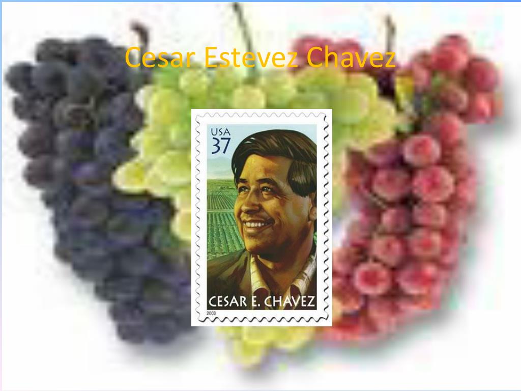 PPT - Cesar Estevez Chavez PowerPoint Presentation, free download - ID ...