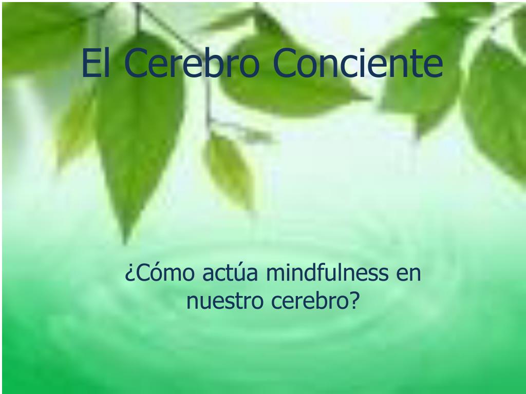 PPT - El Cerebro Conciente PowerPoint Presentation, free download - ID ...