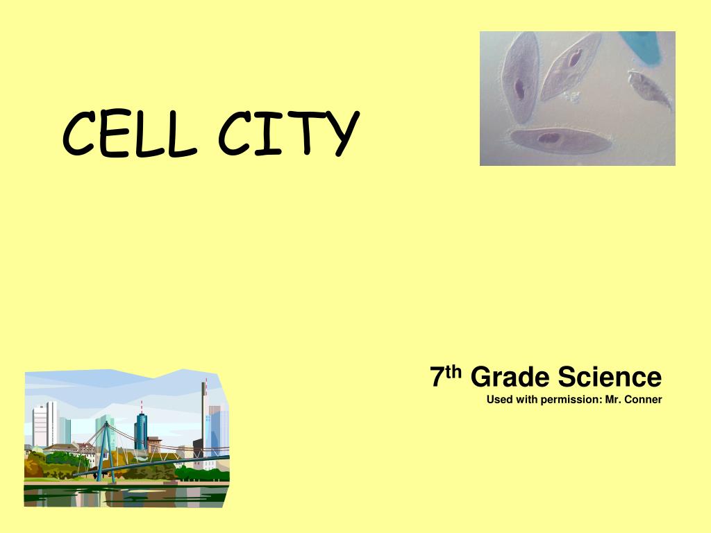 PPT - CELL CITY PowerPoint Presentation, free download - ID:6260209