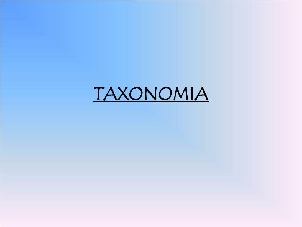 PPT - TAXONOMIA PowerPoint Presentation, free download - ID:6264860