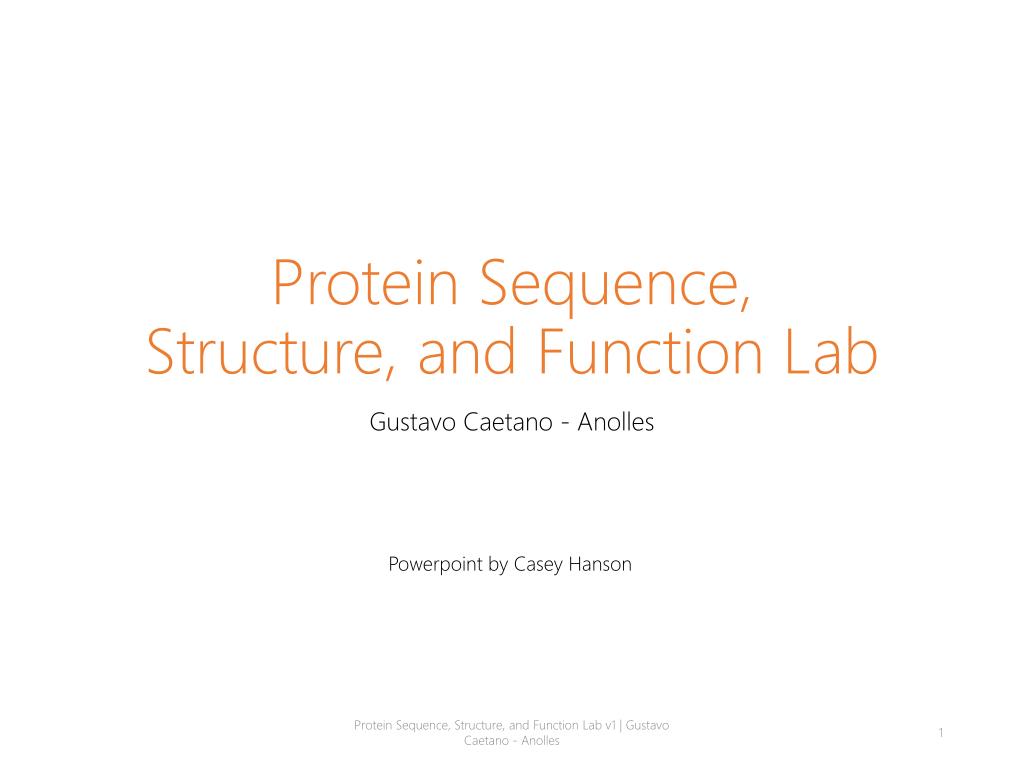PPT - Protein Sequence, Structure, and Functio n Lab PowerPoint ...
