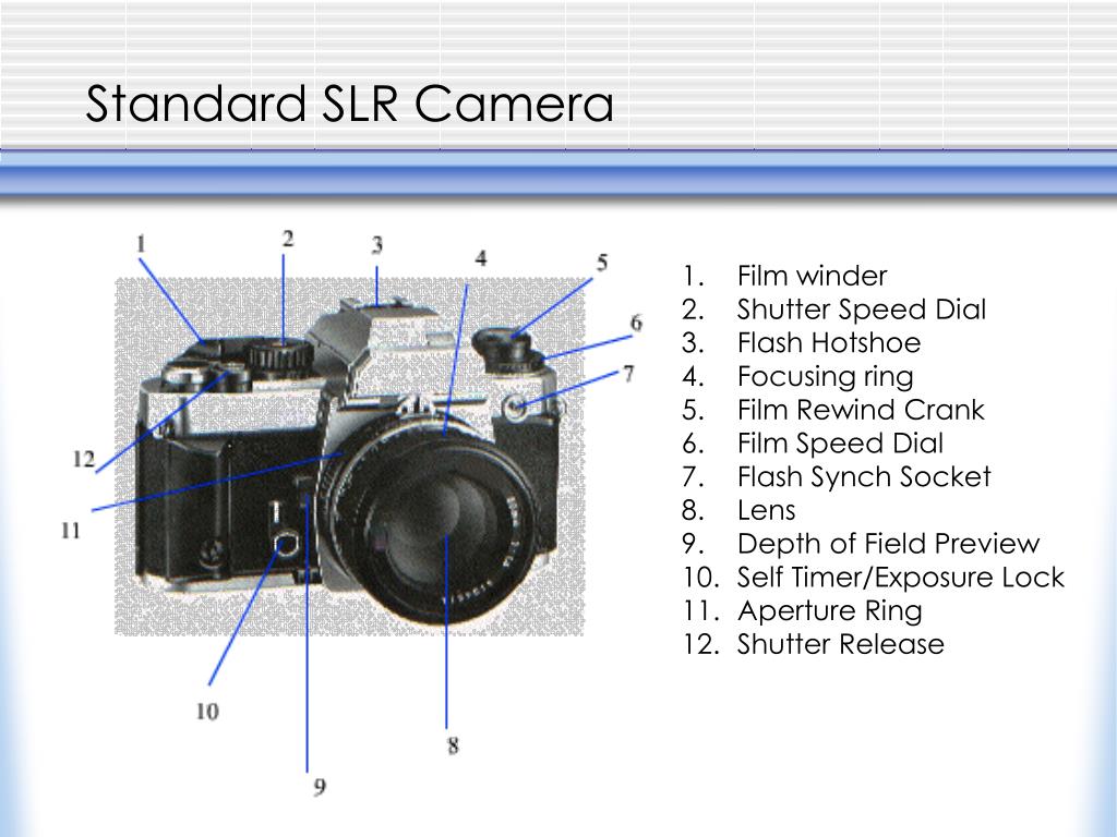 PPT - Standard SLR Camera PowerPoint Presentation, free download - ID ...
