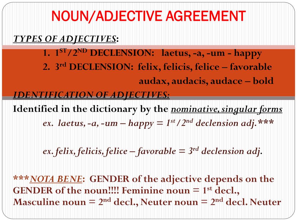 PPT - NOUN/ADJECTIVE AGREEMENT PowerPoint Presentation, free download ...