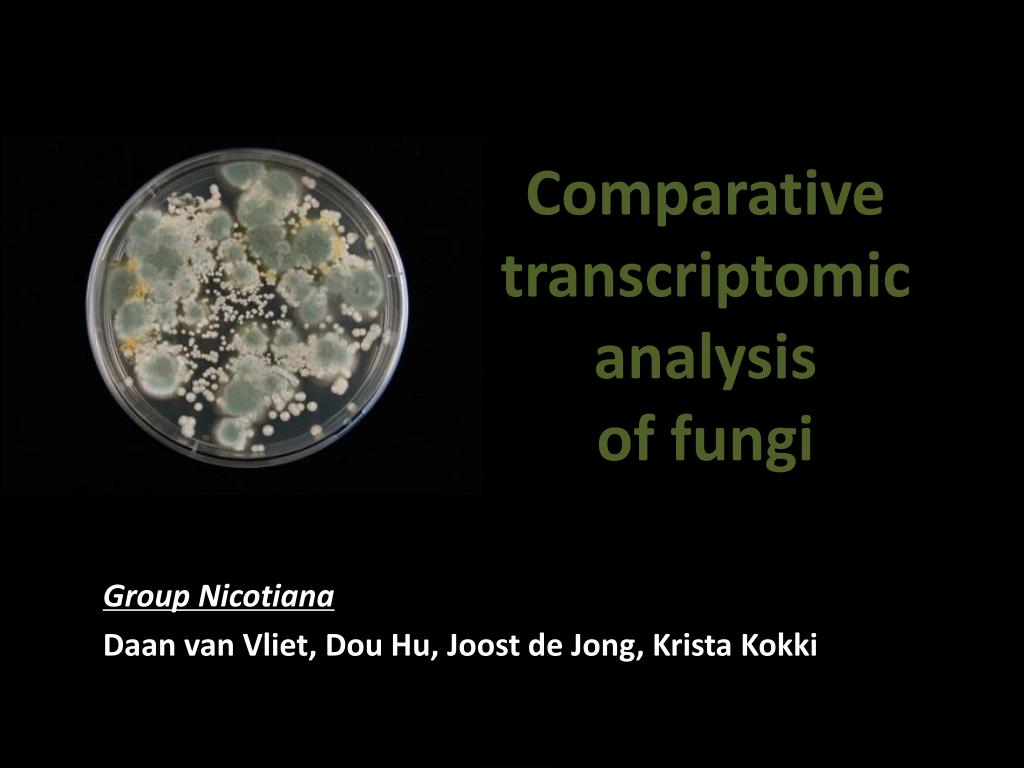 PPT - Comparative transcriptomic analysis of fungi PowerPoint ...
